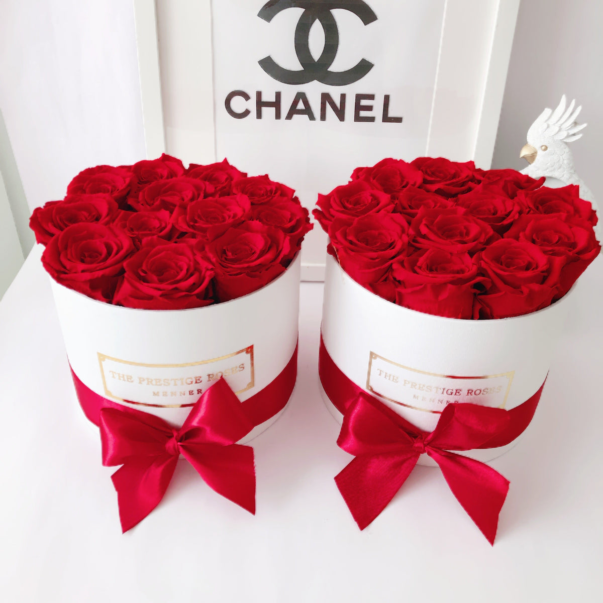 Why Eternity Roses Are the Perfect Luxury Gift – The Prestige Roses Spain